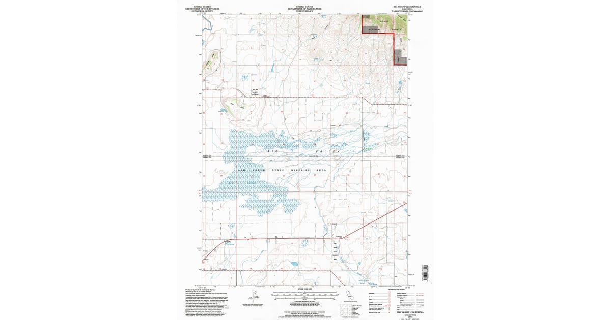 1993 Map of Big Swamp, Modoc County, CA — High-Res | Pastmaps