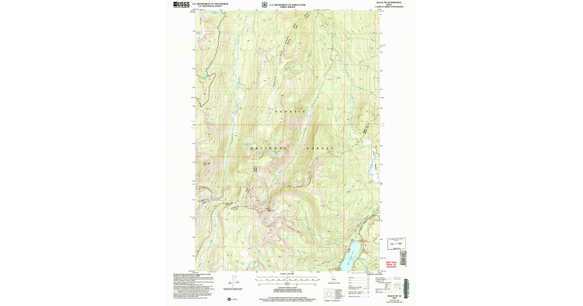 2004 Map of Black Tip, Idaho County, ID — High-Res | Pastmaps