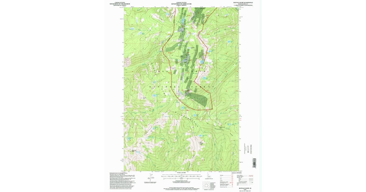 1995 Map of Buffalo Hump, Idaho County, ID — High-Res | Pastmaps