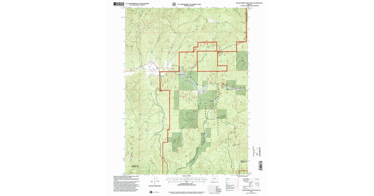 1998 Map of Cedar Springs Mountain, Douglas County, OR — High-Res ...
