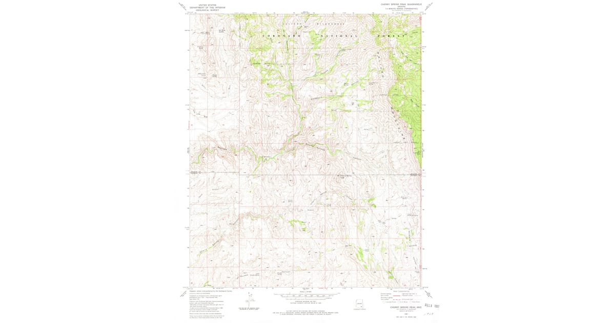 1981 Map of Cherry Spring Peak, Cochise County, AZ — High-Res | Pastmaps