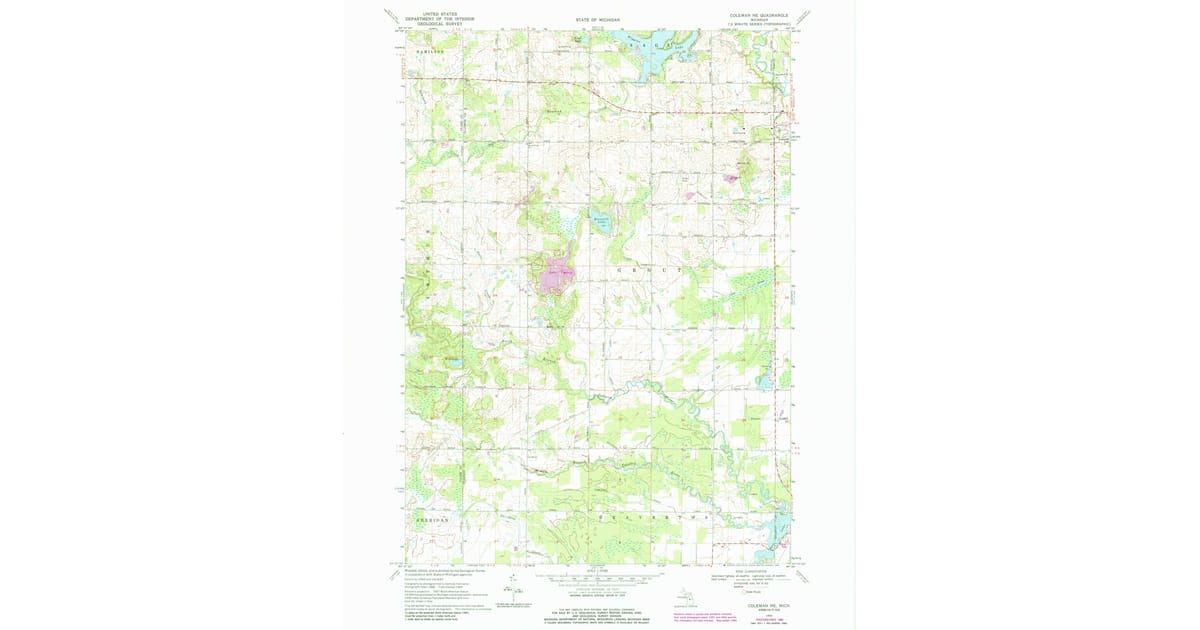 1969 Map of Coleman NE, Gladwin County, MI — High-Res, 1985 Print ...