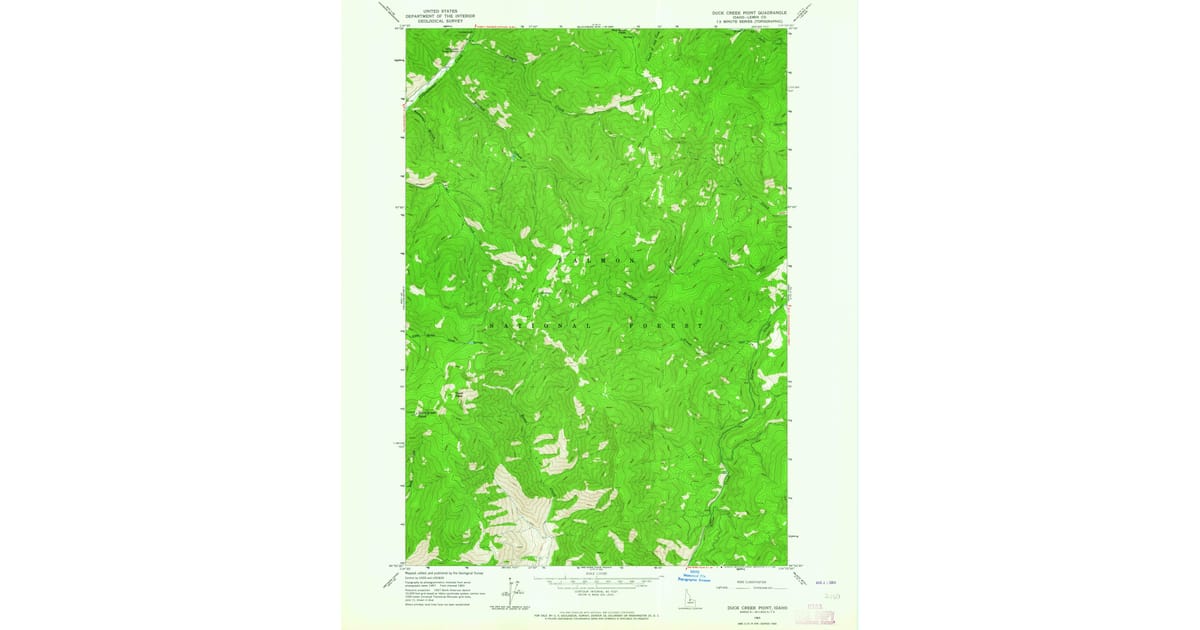 1963 Map of Duck Creek Point, Lemhi County, ID — High-Res | Pastmaps