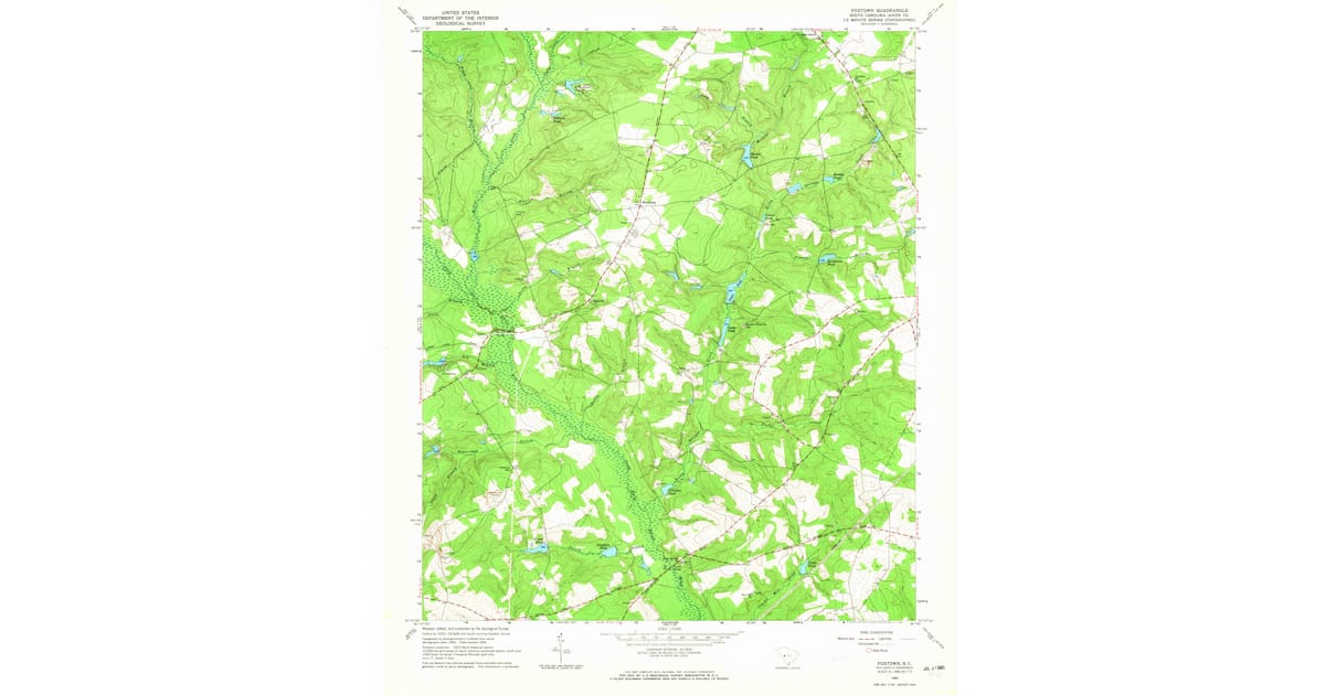1964 Map of Foxtown, Aiken County, SC — High-Res | Pastmaps