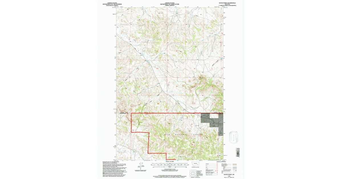 1995 Map of Hayes Point, Custer County, MT — High-Res | Pastmaps