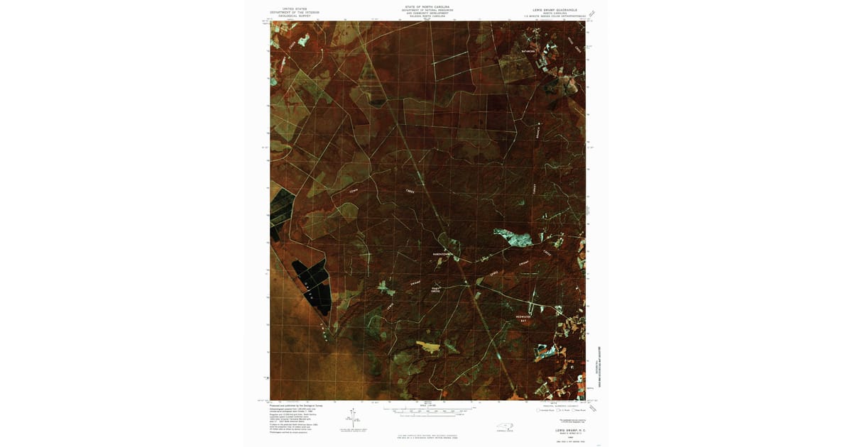 1980 Map of Lewis Swamp, Brunswick County, NC — High-Res | Pastmaps