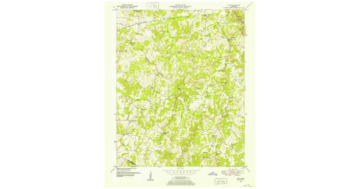 1950 Map of Life, Henderson County, TN — High-Res | Pastmaps