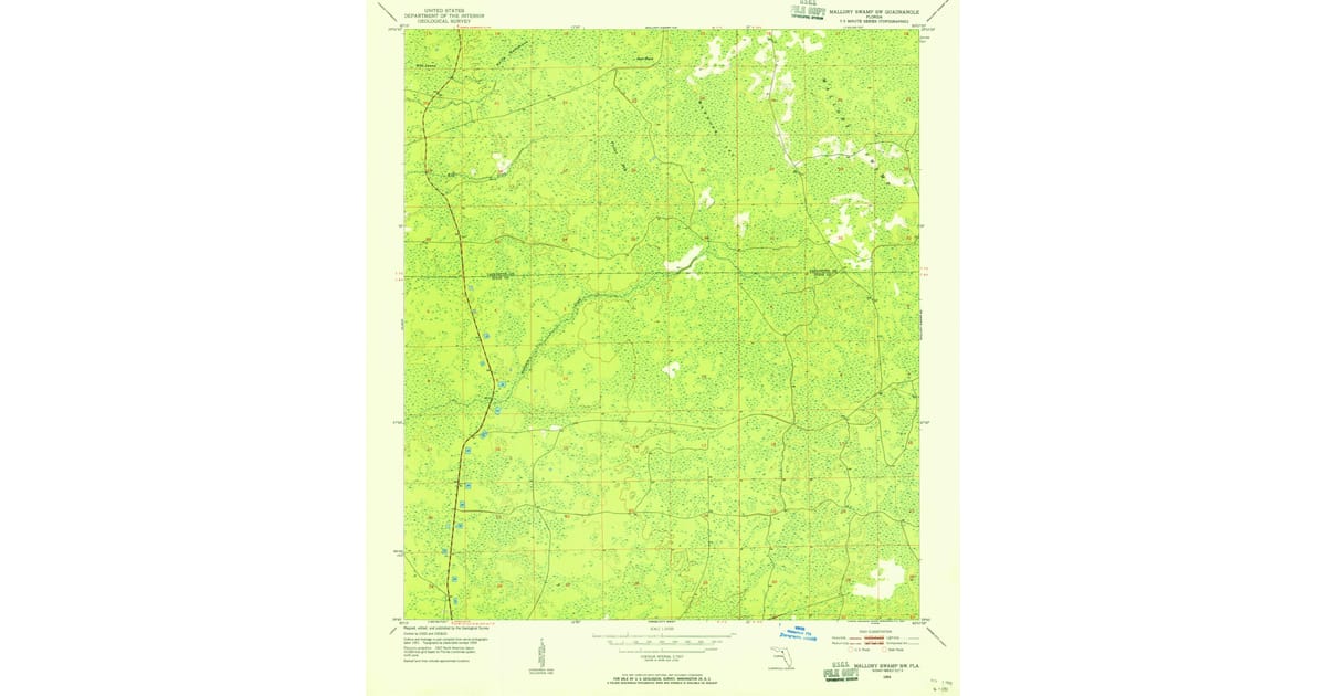 1954 Map of Mallory Swamp SW, Dixie County, FL — High-Res | Pastmaps