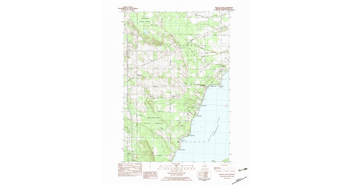 1982 Map of Mullett Lake, Cheboygan County, MI — High-Res | Pastmaps