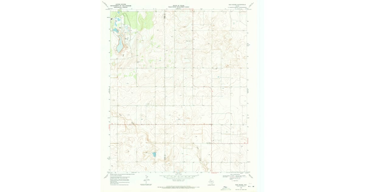 1969 Map of New Moore, Lynn County, TX — High-Res | Pastmaps