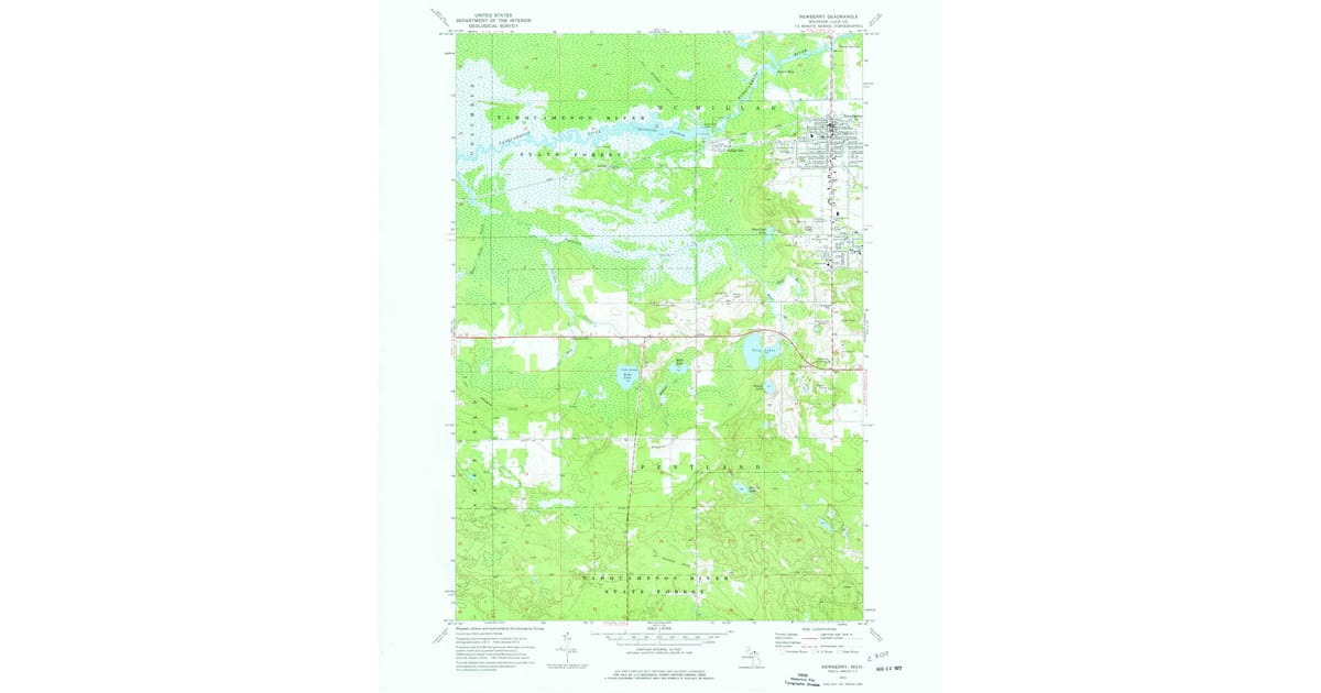 1973 Map of Newberry, MI — High-Res | Pastmaps