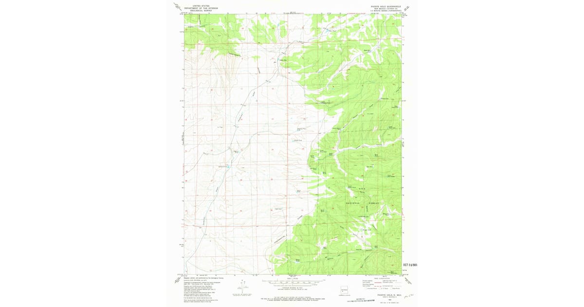 1981 Map of Paddys Hole, Catron County, NM — High-Res | Pastmaps