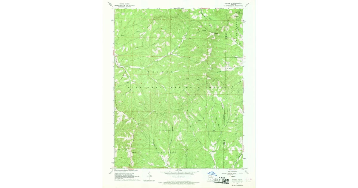 1968 Map of Protem NE, Taney County, MO — High-Res | Pastmaps
