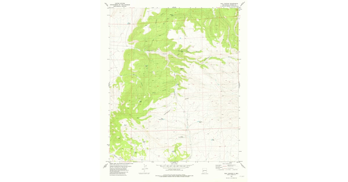 1981 Map of Rail Canyon, Catron County, NM — High-Res | Pastmaps