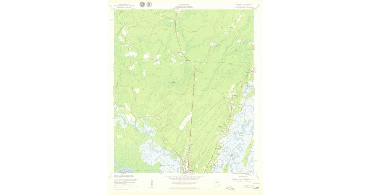 1954 Map of Ridgeville, McIntosh County, GA — High-Res | Pastmaps
