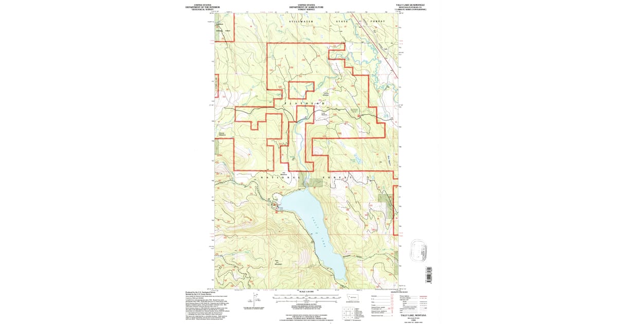 1994 Map of Tally Lake, Flathead County, MT — High-Res | Pastmaps