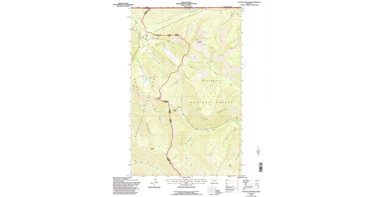 1994 Map of Tuchuck Mountain, Flathead County, MT — High-Res | Pastmaps