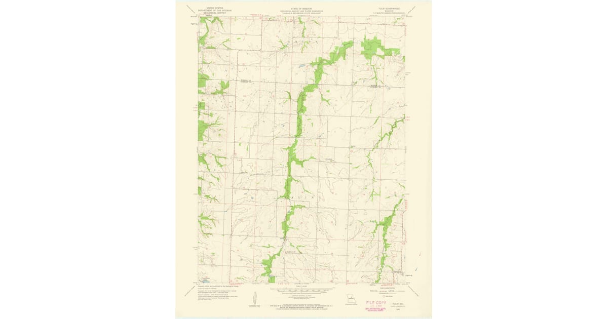 1958 Map of Tulip, Audrain County, MO — High-Res, 1960 Print #2 | Pastmaps