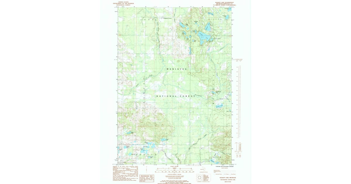 1985 Map of Walkup Lake, Newaygo County, MI — High-Res | Pastmaps